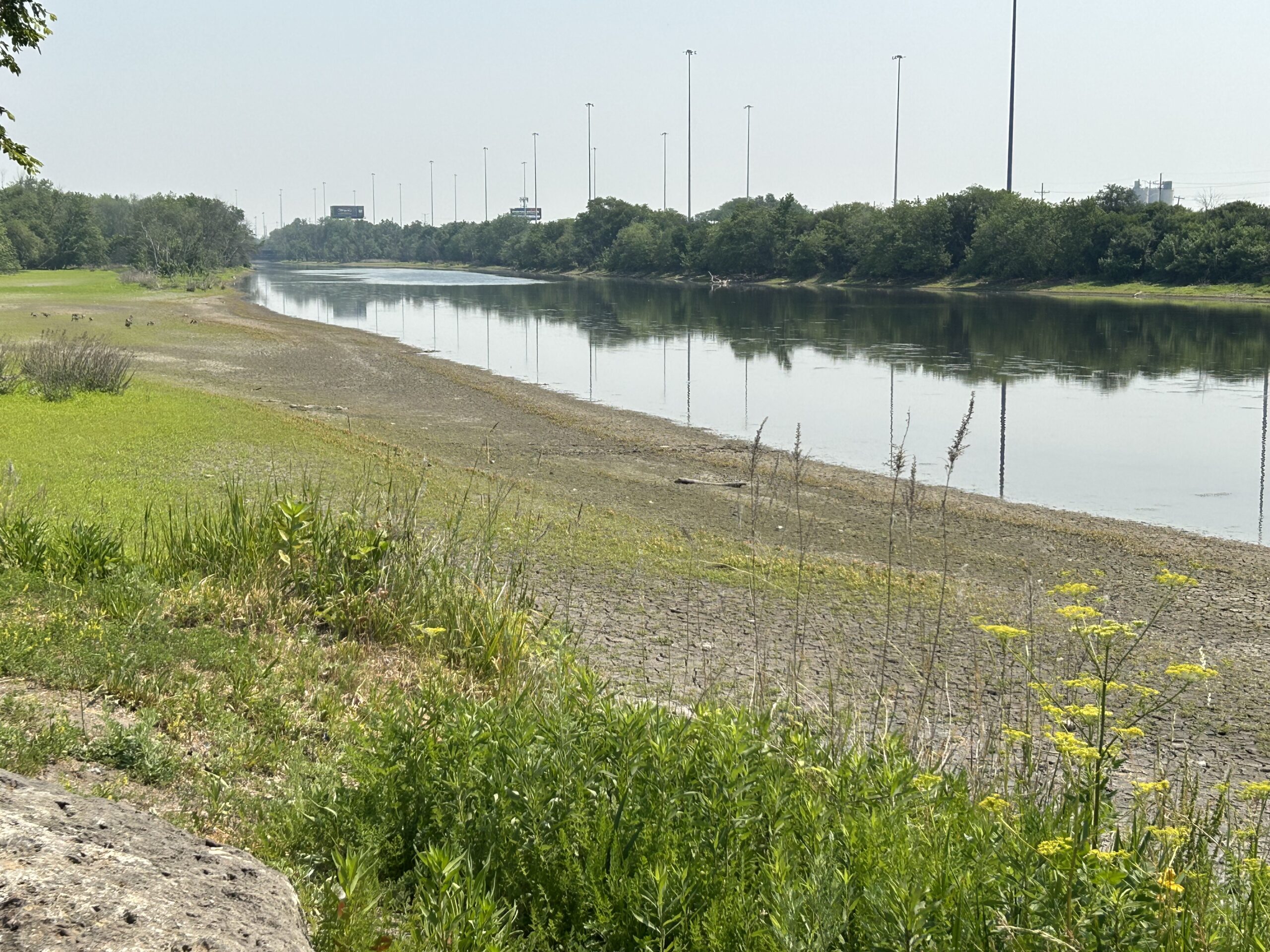 Desolation Boulevard - The Des Plaines River
